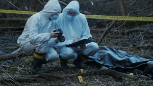 How Do I Become a Forensic Firearms & Ballistics Expert? - DegreeQuery.com