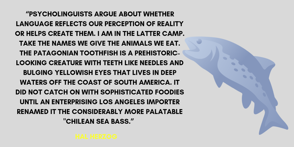 What Can I Do With a Linguistics Degree? - DegreeQuery.com