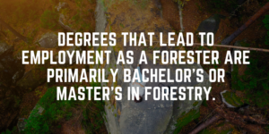 What Can I Do With a Forestry Degree? - DegreeQuery.com