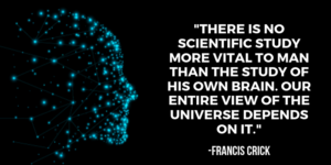 What Can I Do With a Neuroscience Degree?