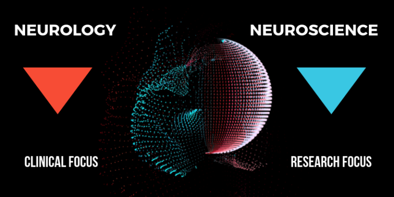 What Can I Do With a Neuroscience Degree? - DegreeQuery.com