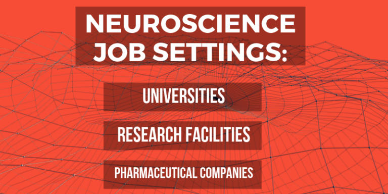 What Can I Do With a Neuroscience Degree? - DegreeQuery.com