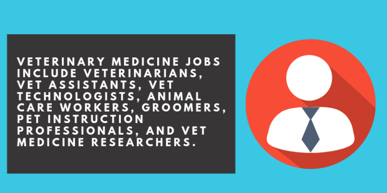 What Can I Do With a Veterinary Medicine Degree? - DegreeQuery.com
