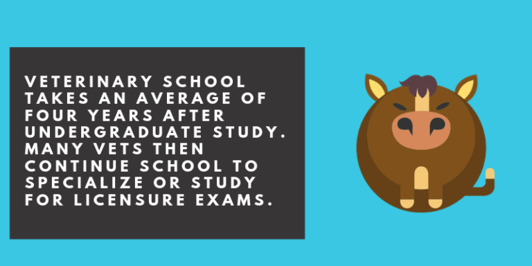 What Can I Do With a Veterinary Medicine Degree? - DegreeQuery.com